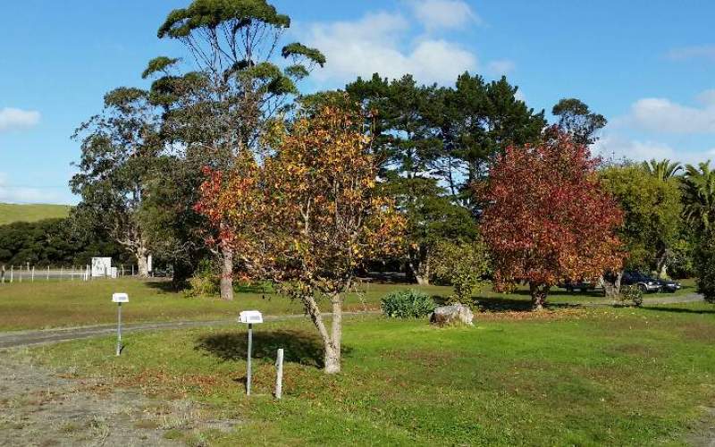 Waitiki Holiday Park | Full Service Camp | New Zealand